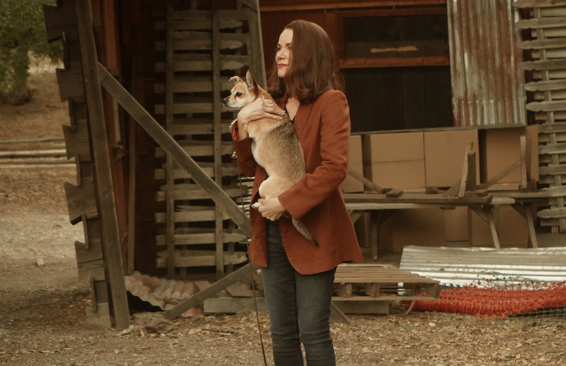 Download Movie 9 Bullets HD Wallpaper