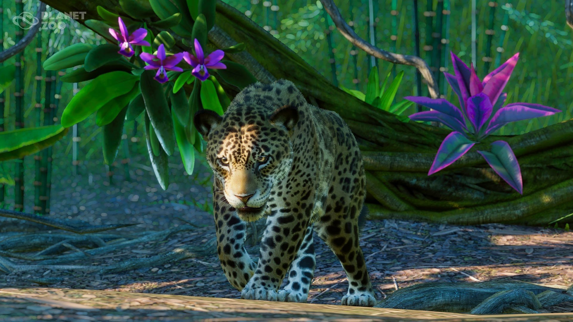 Planet Zoo - Desktop Wallpapers, Phone Wallpaper, PFP, Gifs, and More!