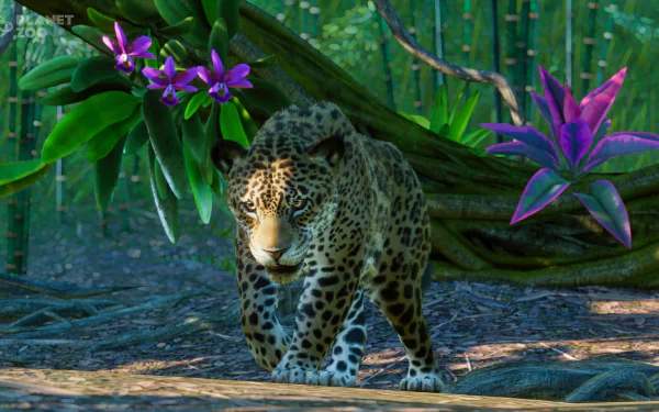 [30+] Planet Zoo Wallpapers