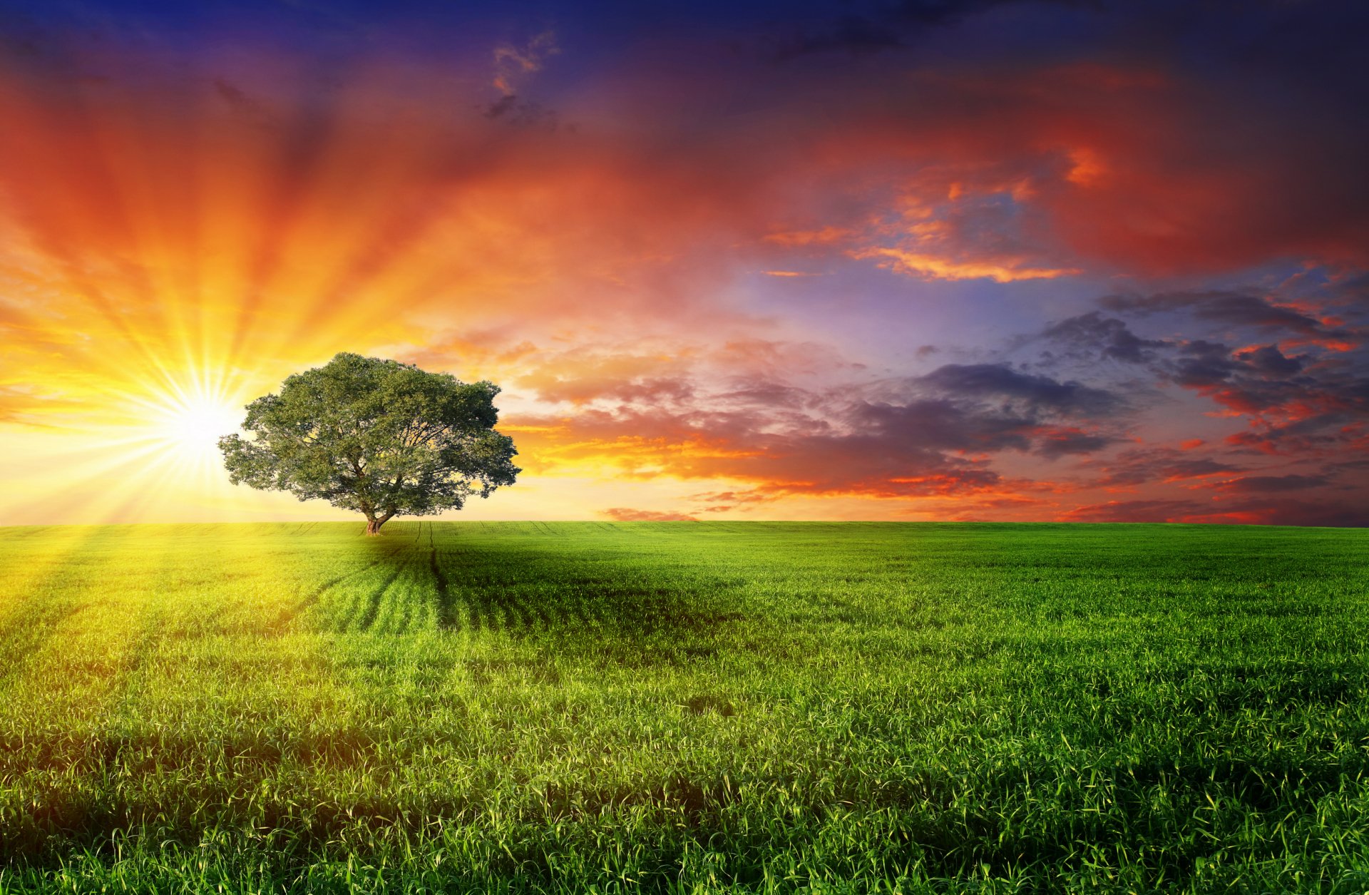 Download Nature Sunset HD Wallpaper