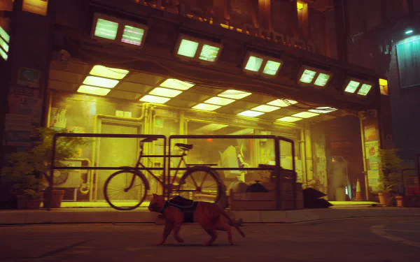 [10+] Stray 4k Wallpapers