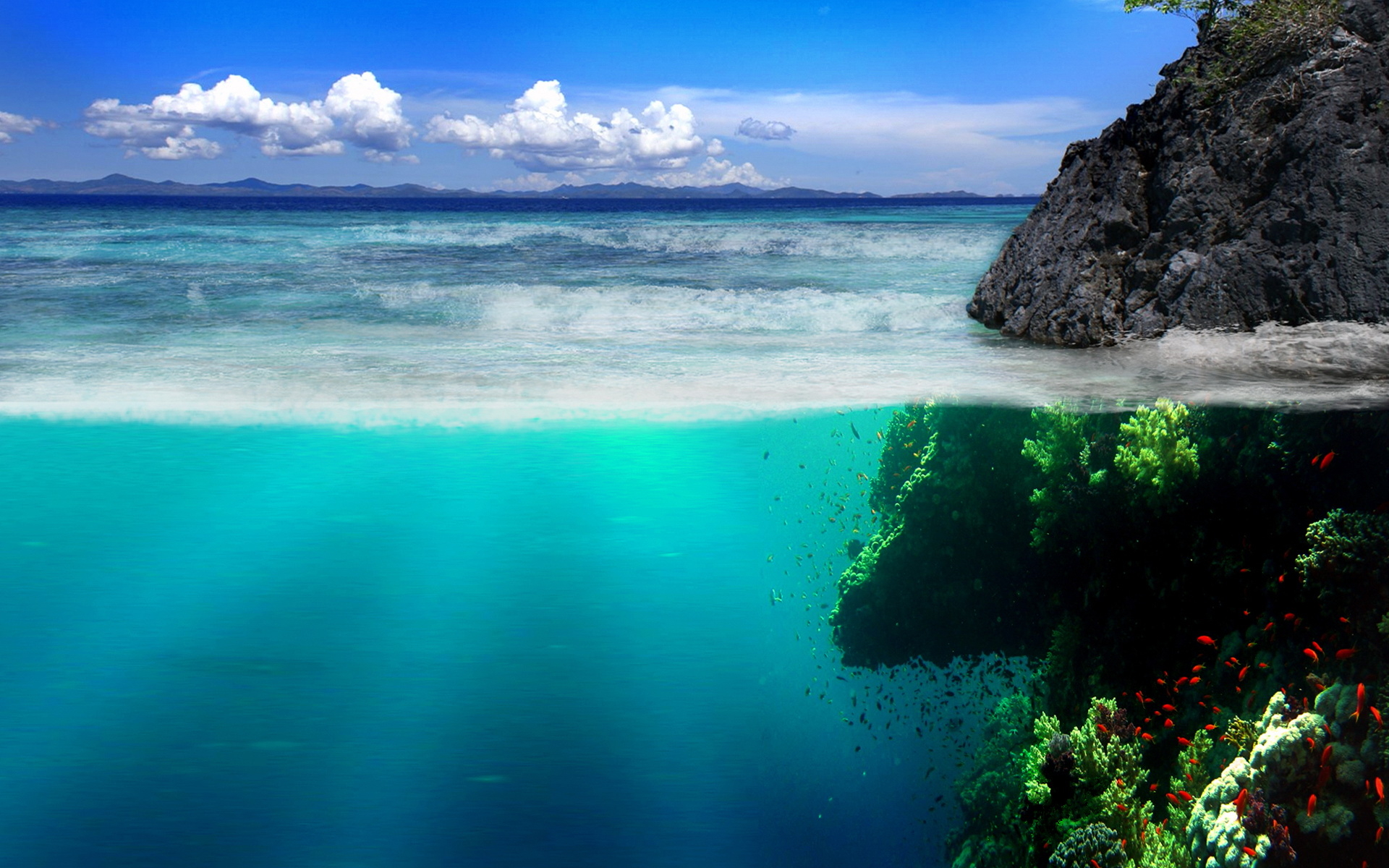 HD Ocean Serenity: Nature’s Vibrant Underwater Paradise