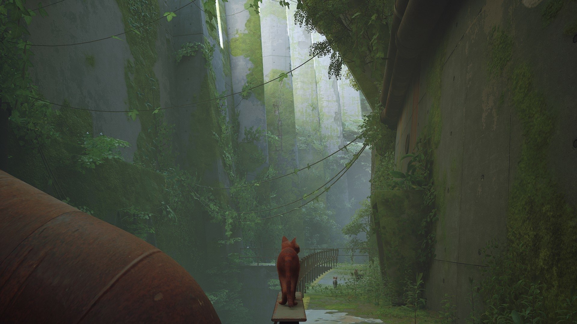 Download Video Game Stray HD Wallpaper