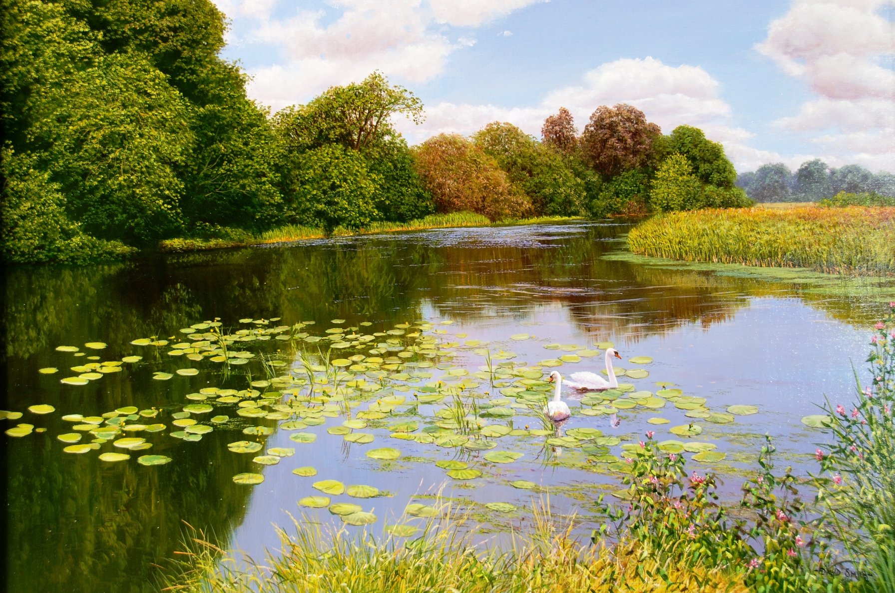 Download Nature River Wallpaper