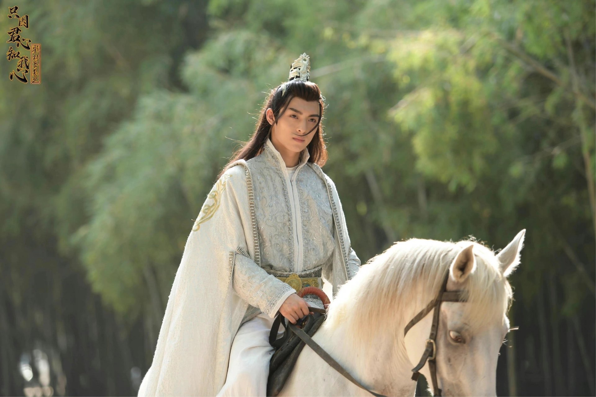 Download Celebrity Wang Hao Xuan HD Wallpaper