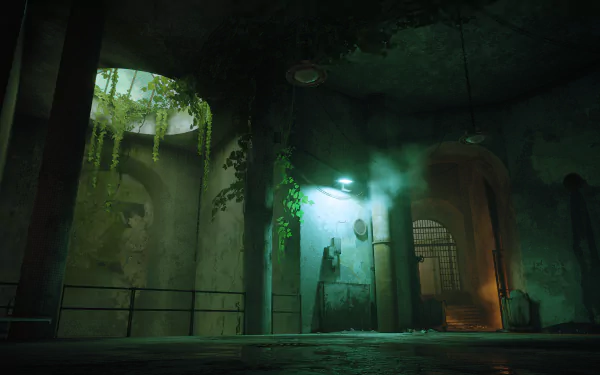 [10+] Stray 4k Wallpapers