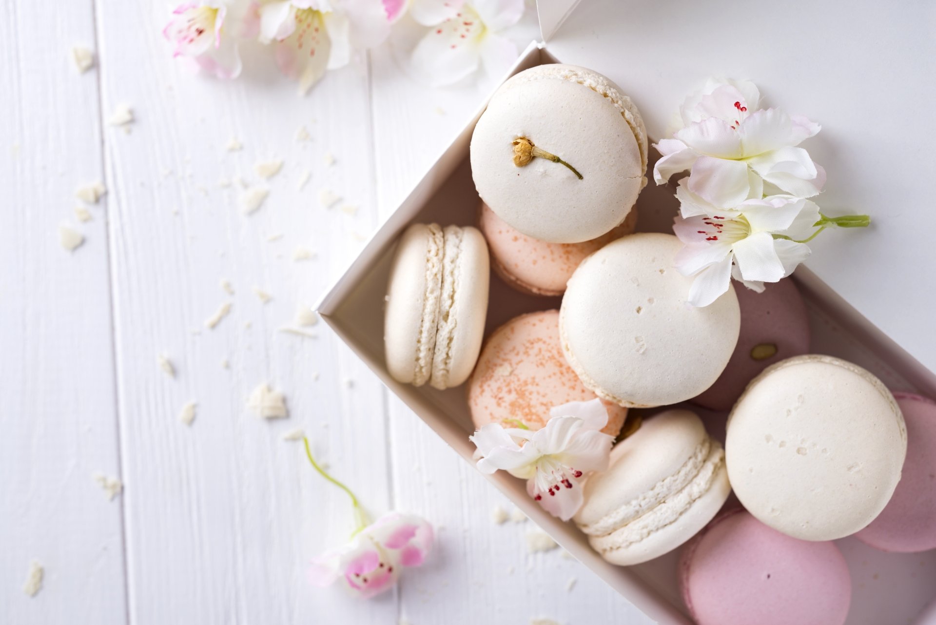 Download Food Macaron 4k Ultra HD Wallpaper