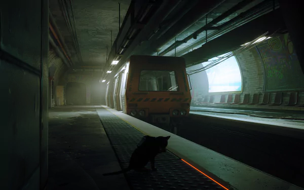 [100+] Stray Wallpapers