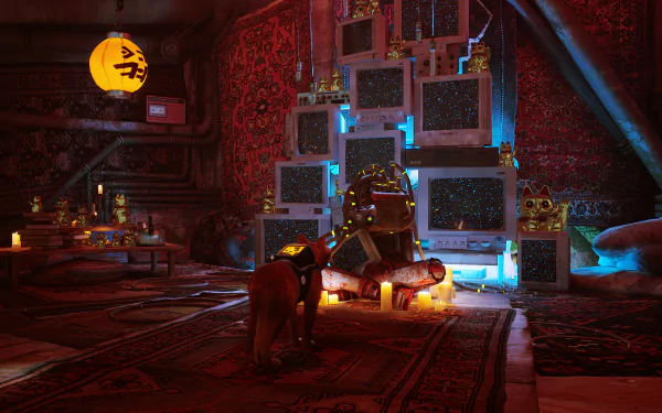 [100+] Stray Wallpapers