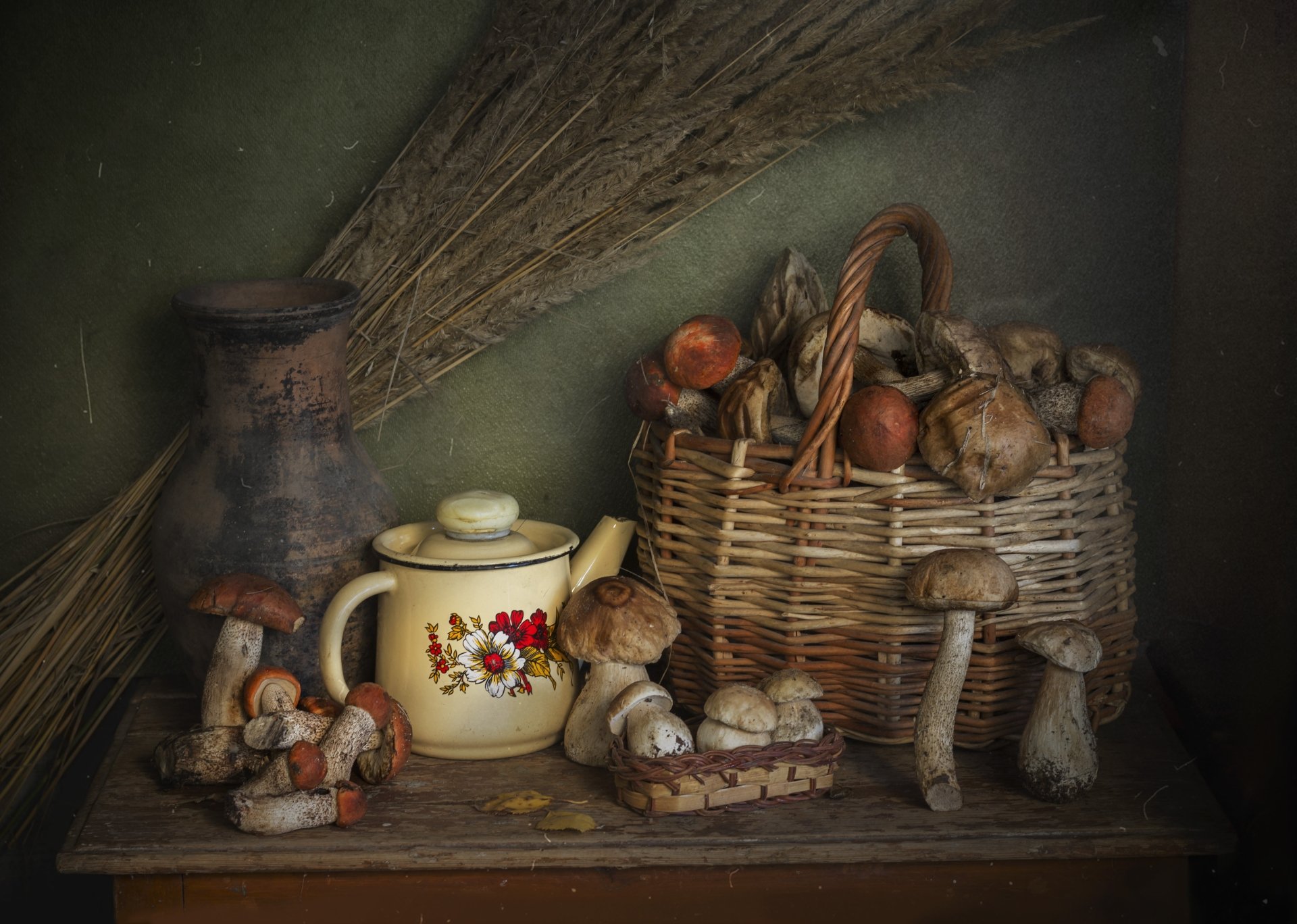 Download Mushroom Photography Still Life 4k Ultra HD Wallpaper