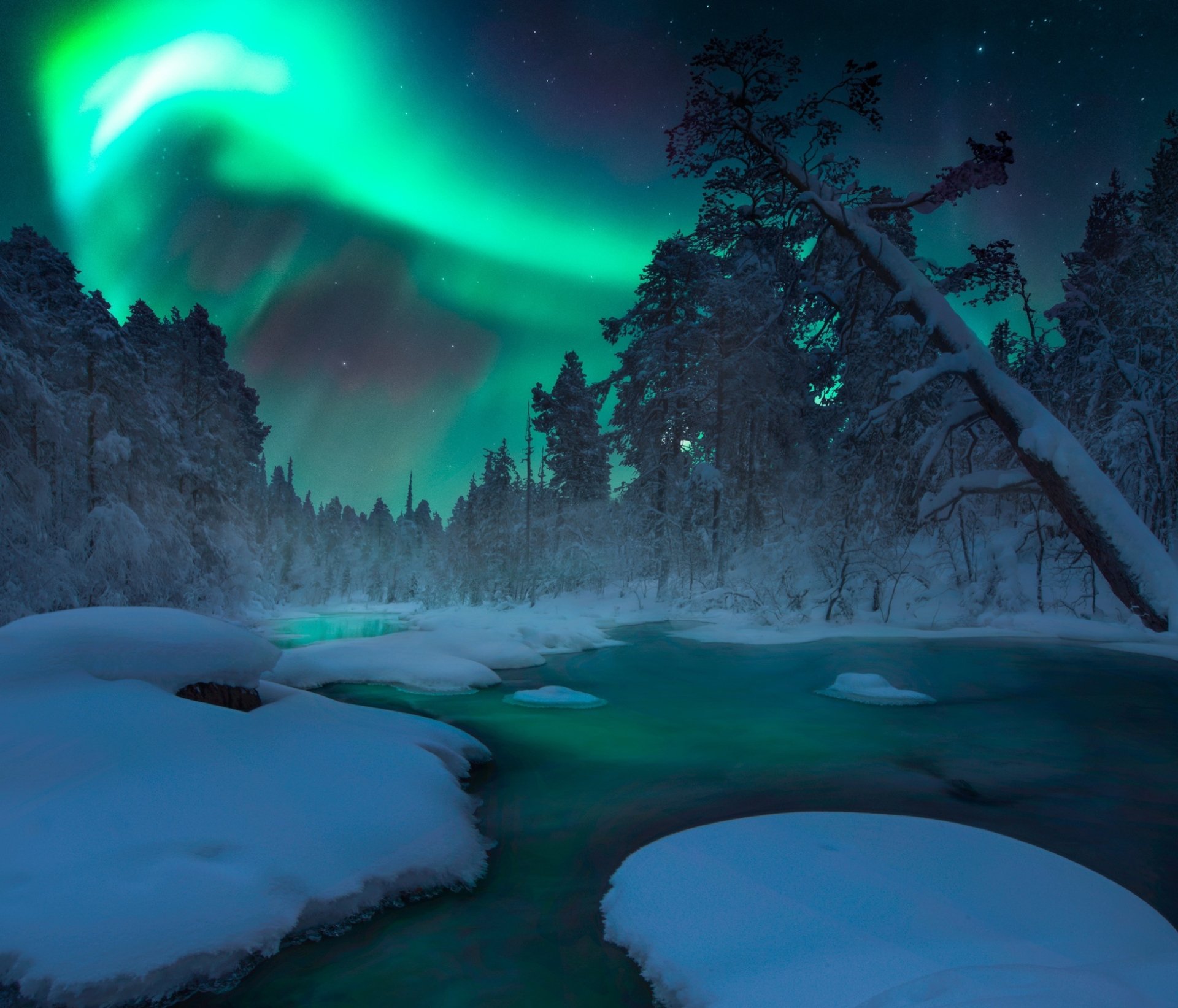 Download Winter Night Nature Aurora Borealis Winter Night HD Wallpaper