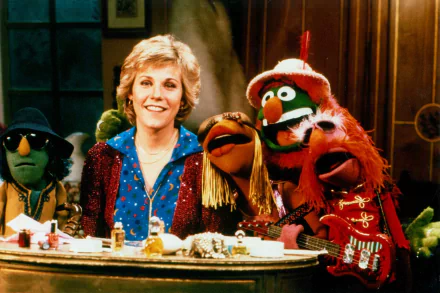 The Muppet Show - Desktop Wallpapers, Phone Wallpaper, PFP, Gifs, and More!