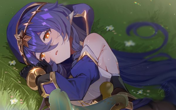 Layla (Genshin Impact) - Desktop Wallpapers, Phone Wallpaper, PFP, Gifs ...