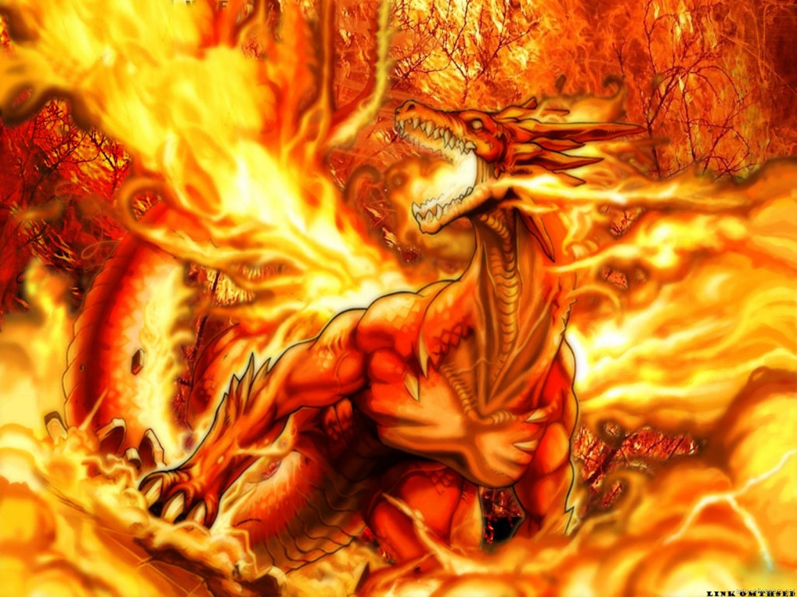 Blazing Dragon Fury: HD Fantasy Flame Wallpaper