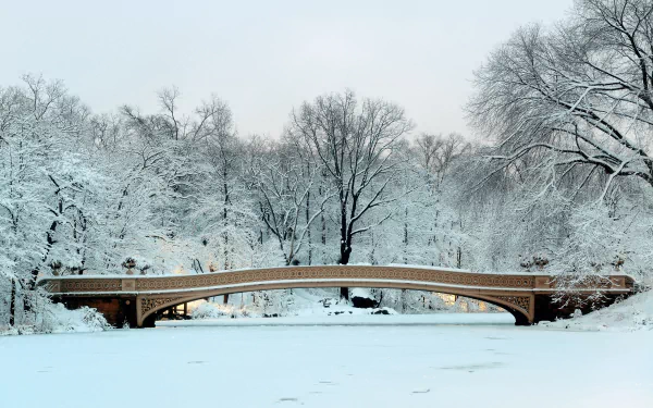Autumnal Serenity: HD Wallpaper featuring Bow Bridge in Central Park