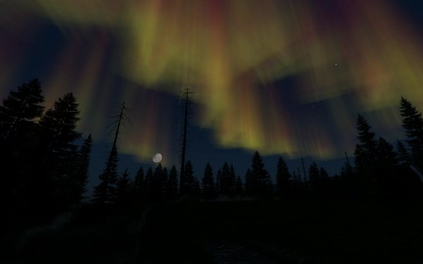 DayZ - Desktop Wallpapers, Phone Wallpaper, PFP, Gifs, and More!