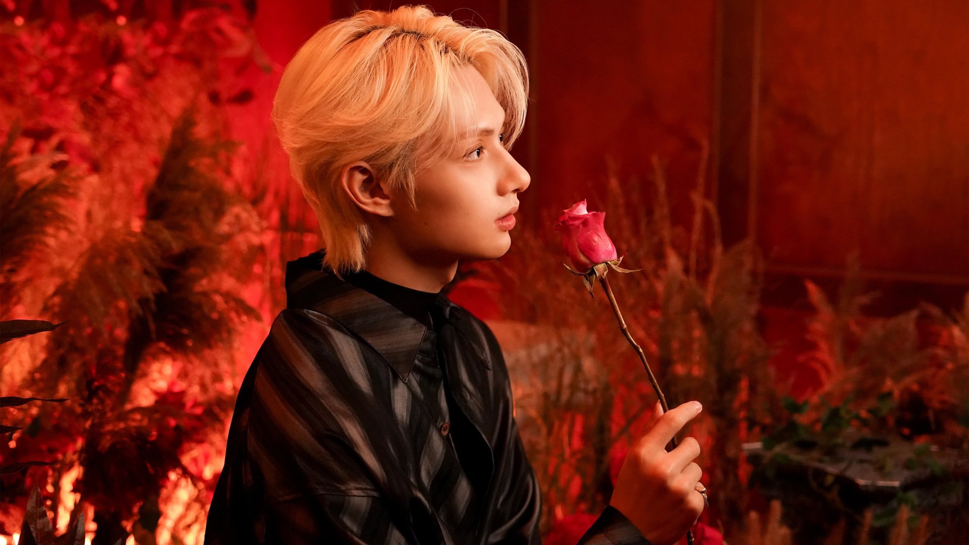 Elegant Music Artist Rose Contemplation - BTS HD Wallpaper