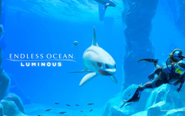 Download Endless Ocean 8k Ultra HD Wallpaper