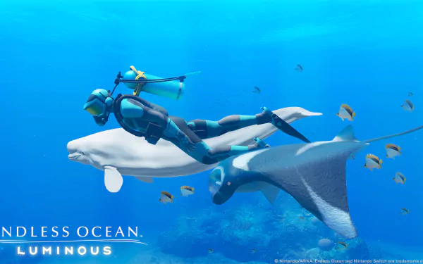 Download Endless Ocean 4k Ultra HD Wallpaper