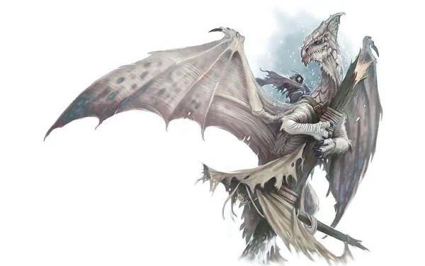 Epic Dragon Rider Battle HD Wallpaper by David Gaillet