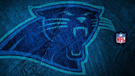 Carolina Panthers - Desktop Wallpapers, Phone Wallpaper, PFP, Gifs, and ...
