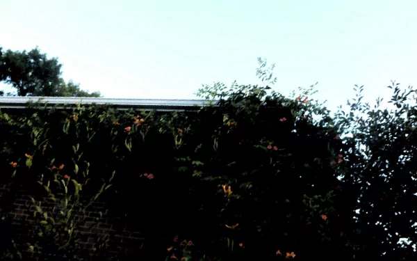 [90+] Manipulation 4k Wallpapers