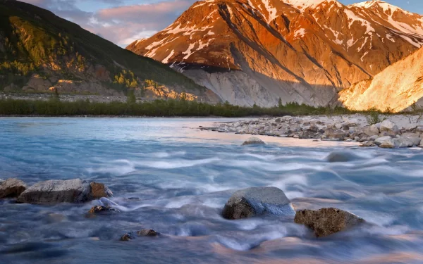 Serene Alaska Wolf HD Wallpaper