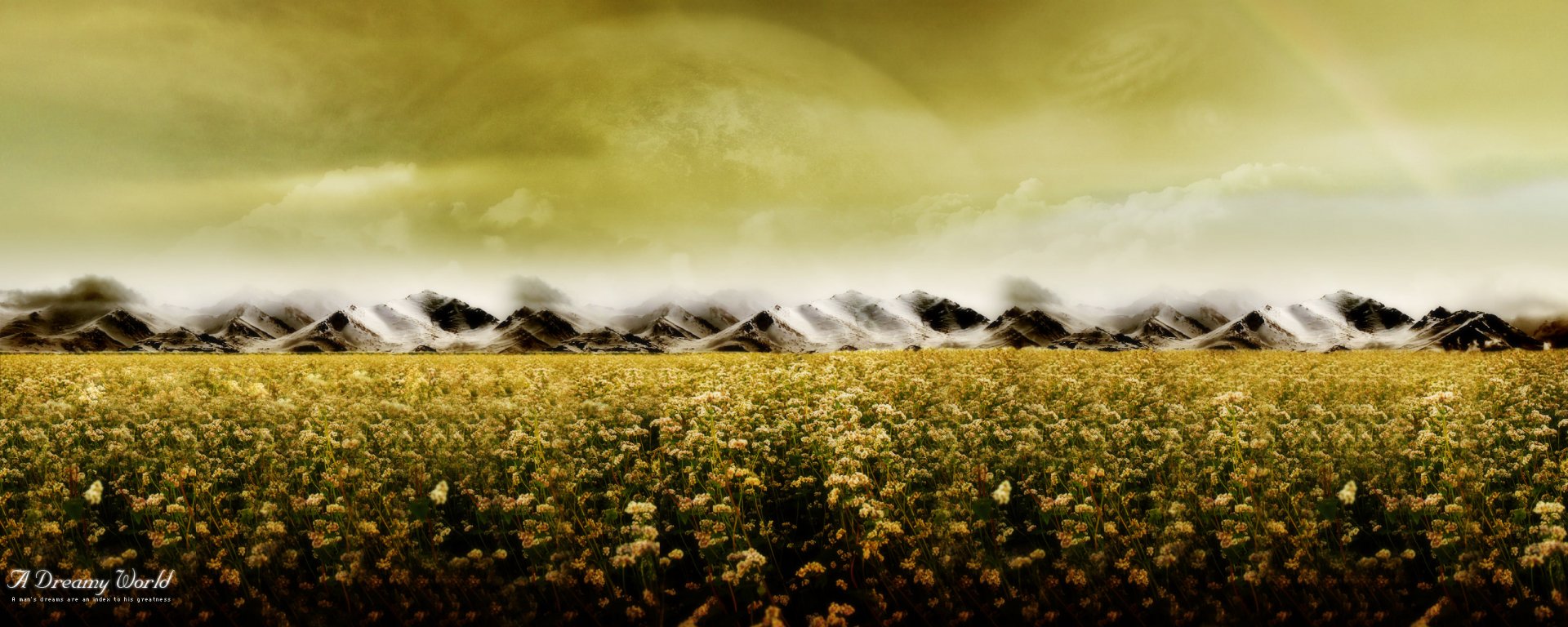 Download Field Flower Landscape Planet Nature A Dreamy World Wallpaper ...