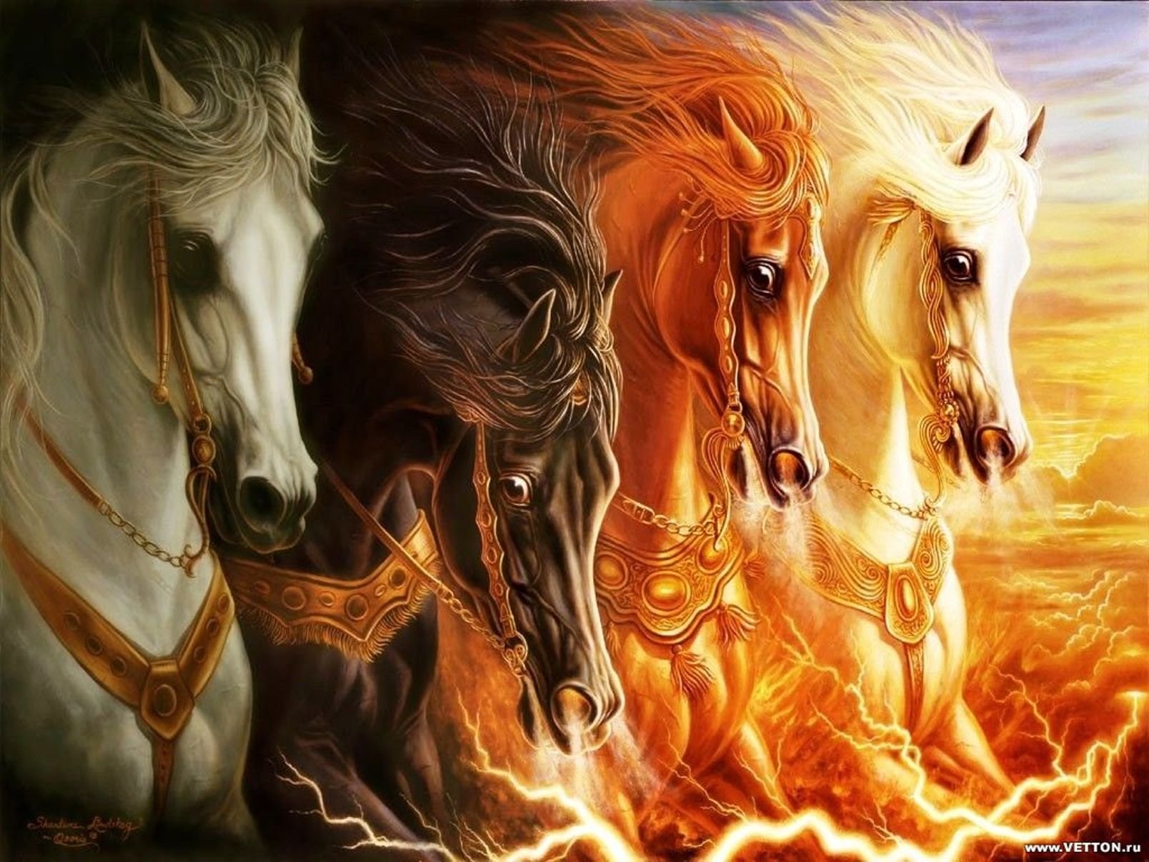 Dark Stallions: A Stunning HD Wallpaper