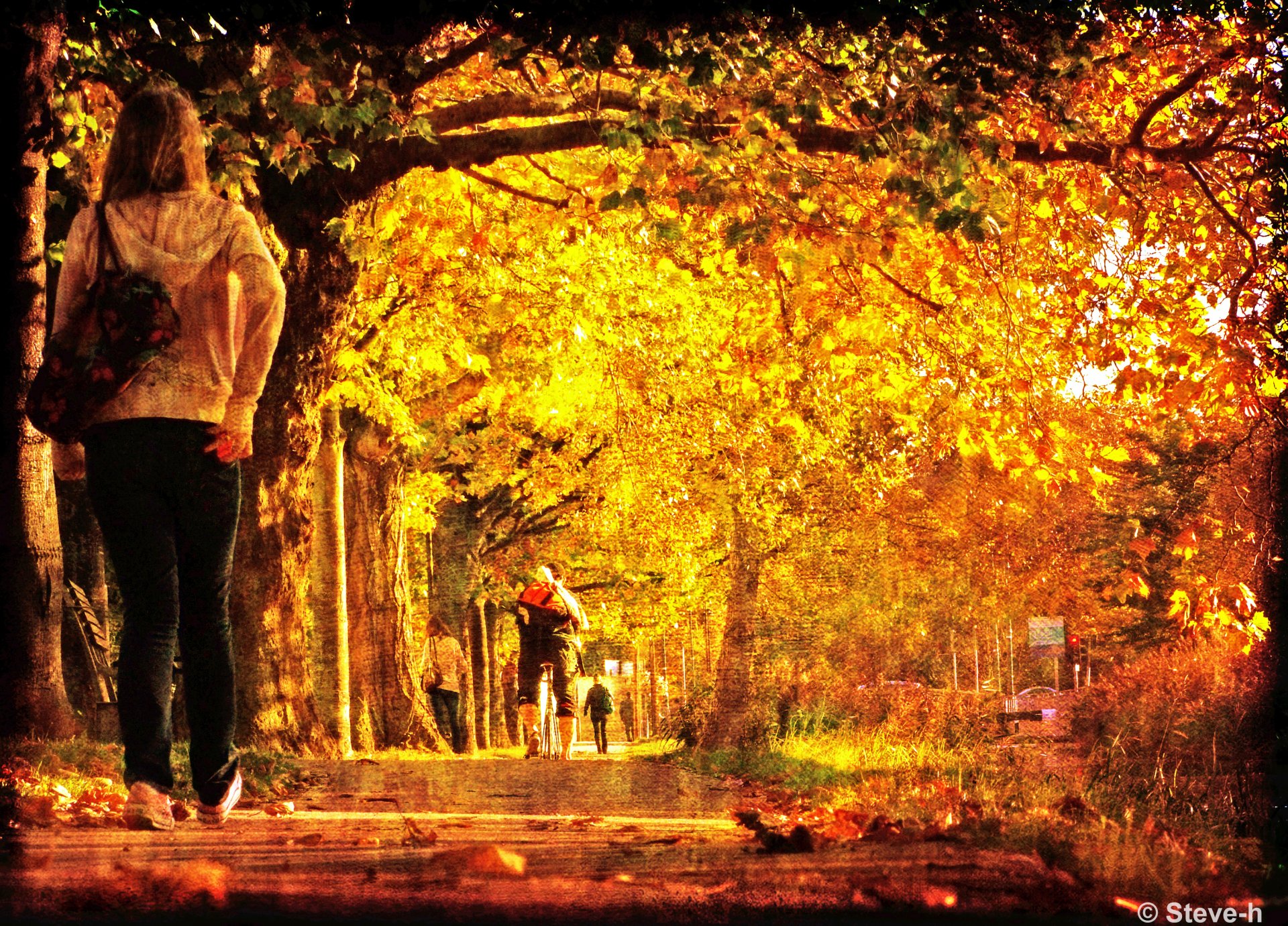 Download Photography Fall Autumn Foliage Park HD Wallpaper | 3402x2447 ...