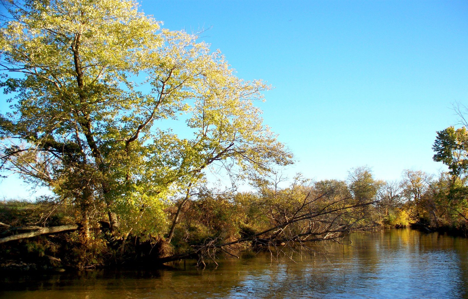 Download Nature River Wallpaper
