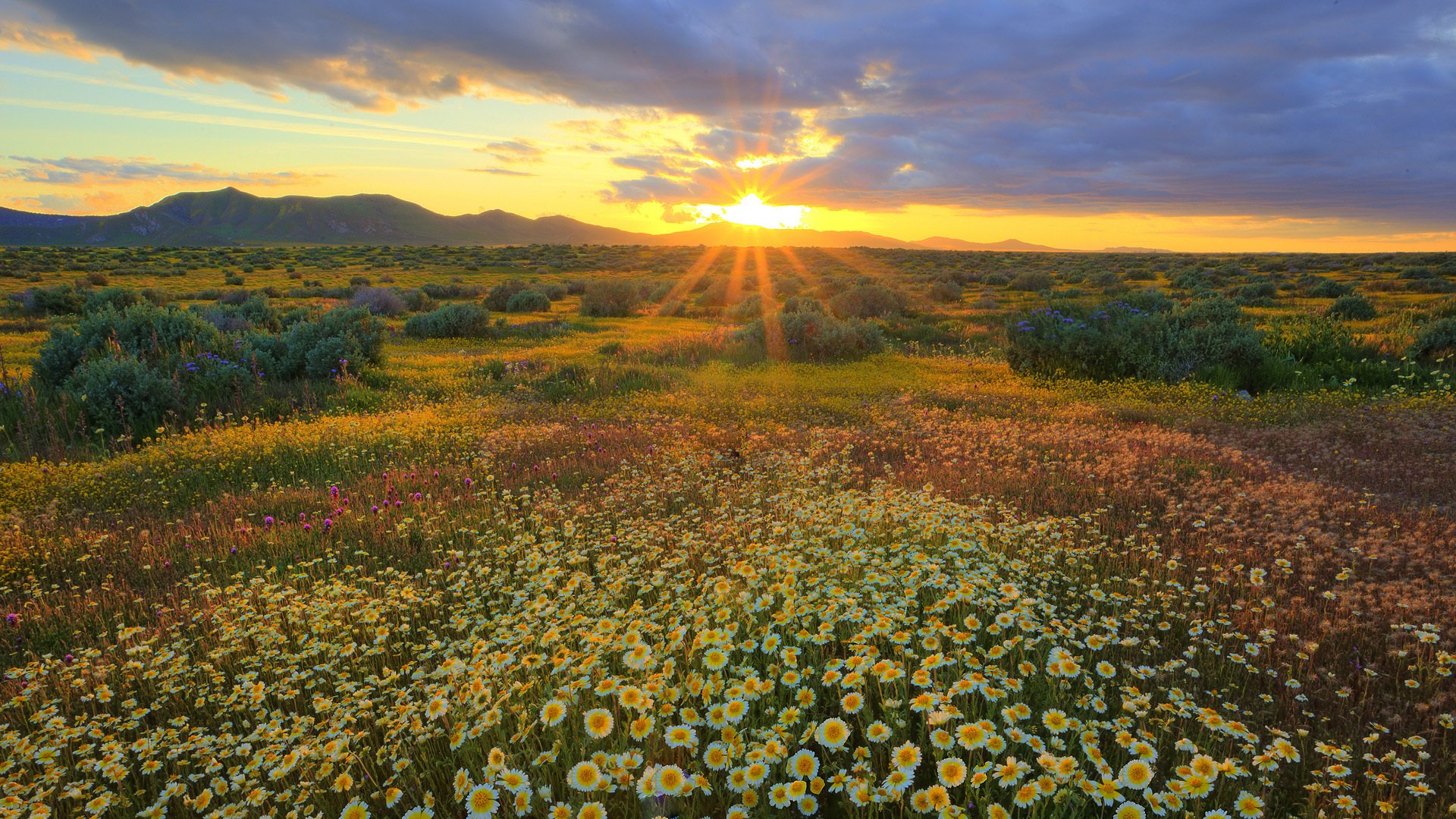 Download Nature Landscape HD Wallpaper | 1920x1080 | Wallpaper Abyss