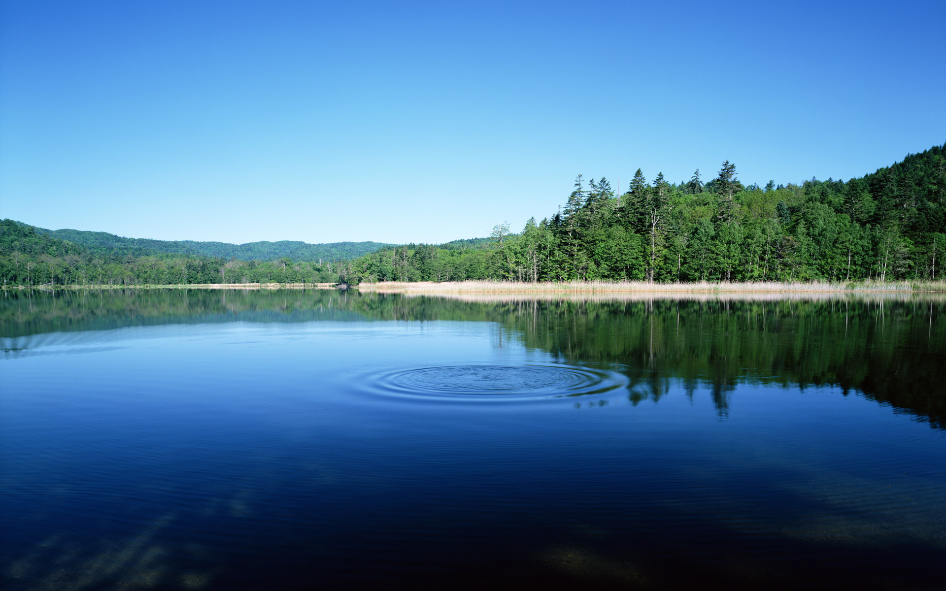 Download Nature Lake HD Wallpaper