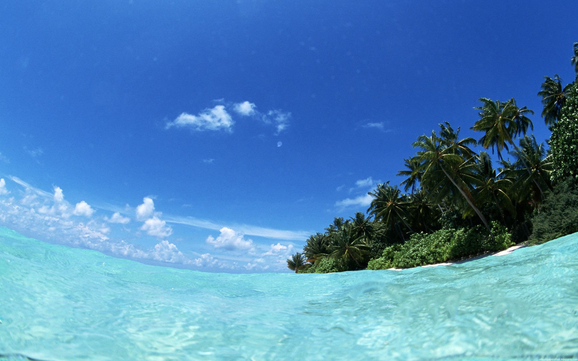 Tropical Azure Escape — HD Water Wallpaper | 1920x1200 | Wallpaper Abyss