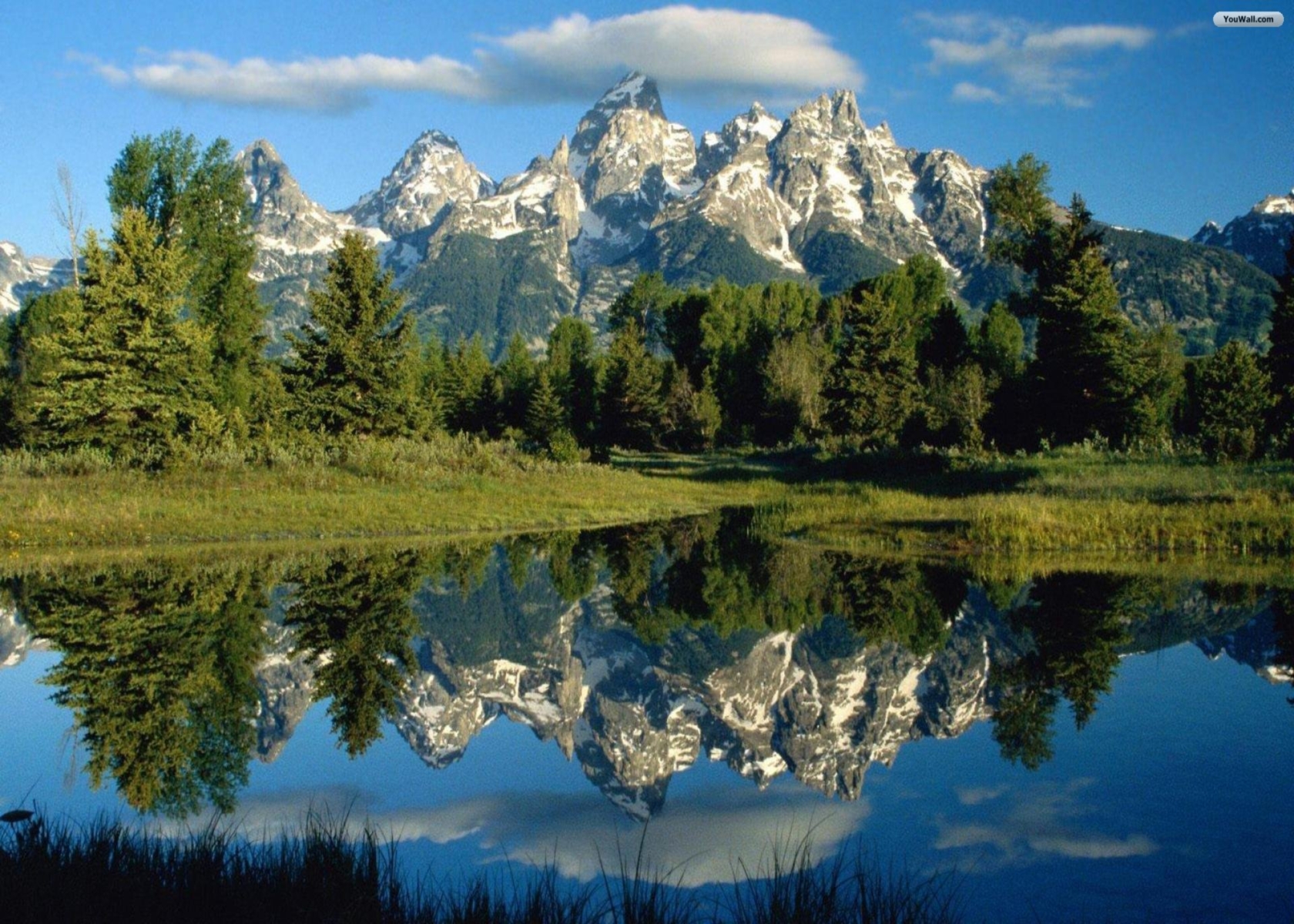 Download Nature Reflection Wallpaper