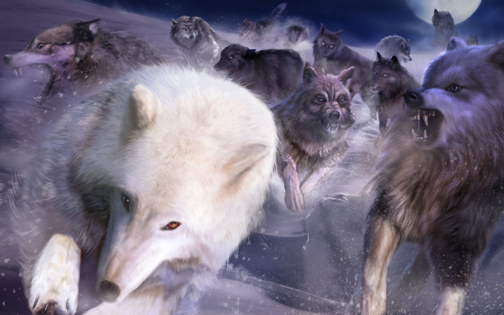 Majestic Wolves in HD Wallpaper