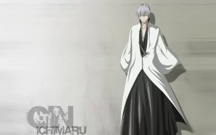 Gin Ichimaru - Desktop Wallpapers, Phone Wallpaper, PFP, Gifs, and More!