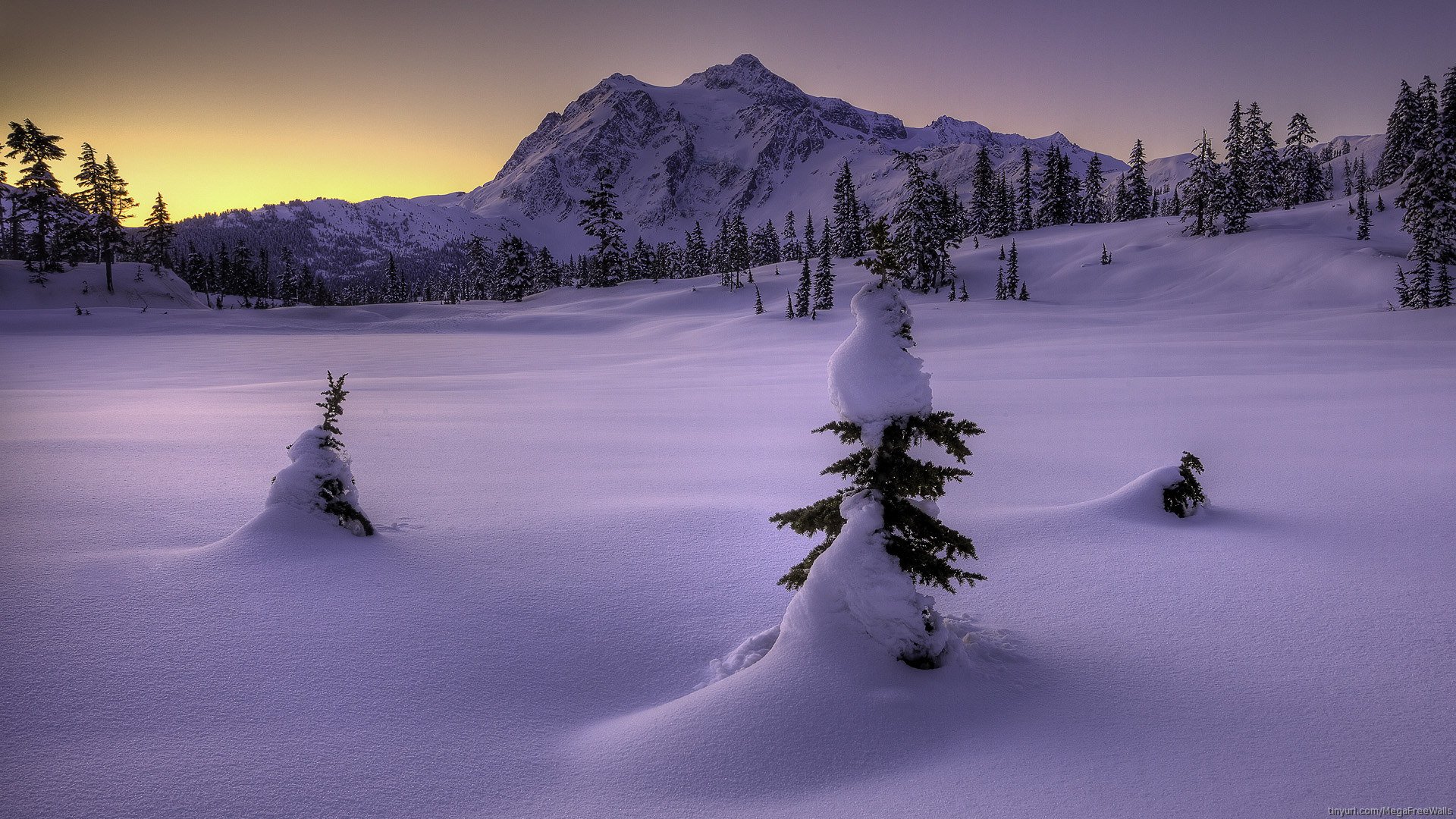 Download Mountain Tree Snow Nature Winter Snowy Mountain HD Wallpaper ...