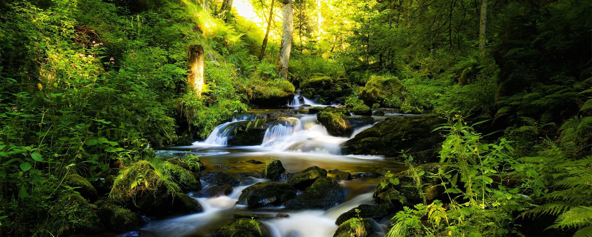 Download Nature Stream Wallpaper