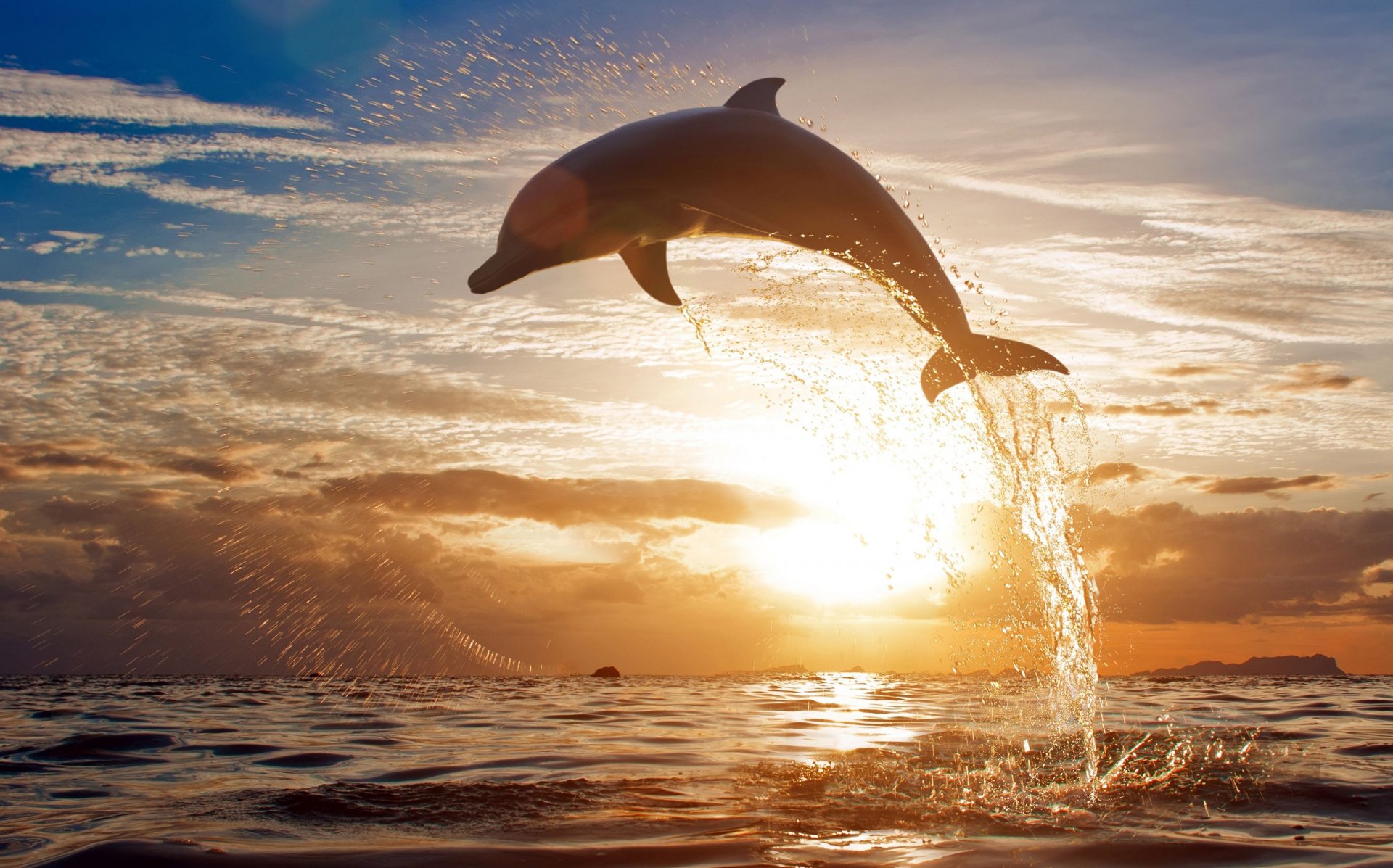 Dolphin Leap: A Stunning 4K Ultra HD Ocean Sunset Wallpaper
