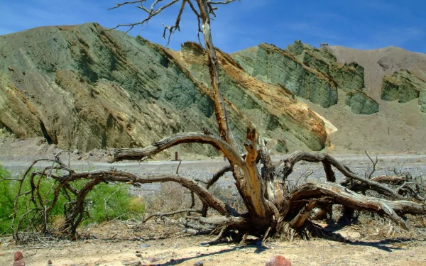 Download Sand Desert Ruin Sci Fi Post Apocalyptic HD Wallpaper by Leon ...