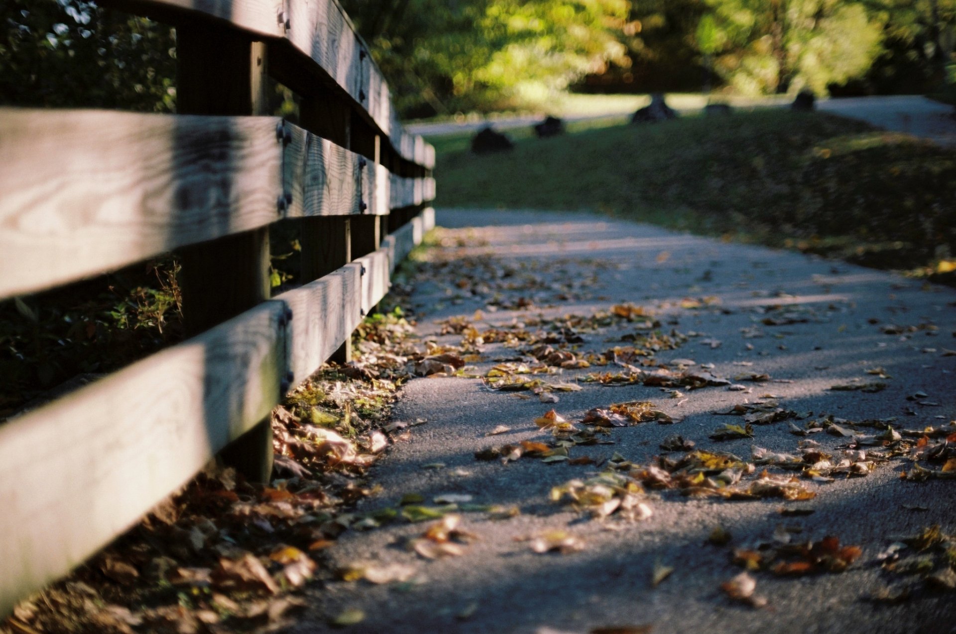 Download Man Made Fence HD Wallpaper | 2048x1360 | Wallpaper Abyss