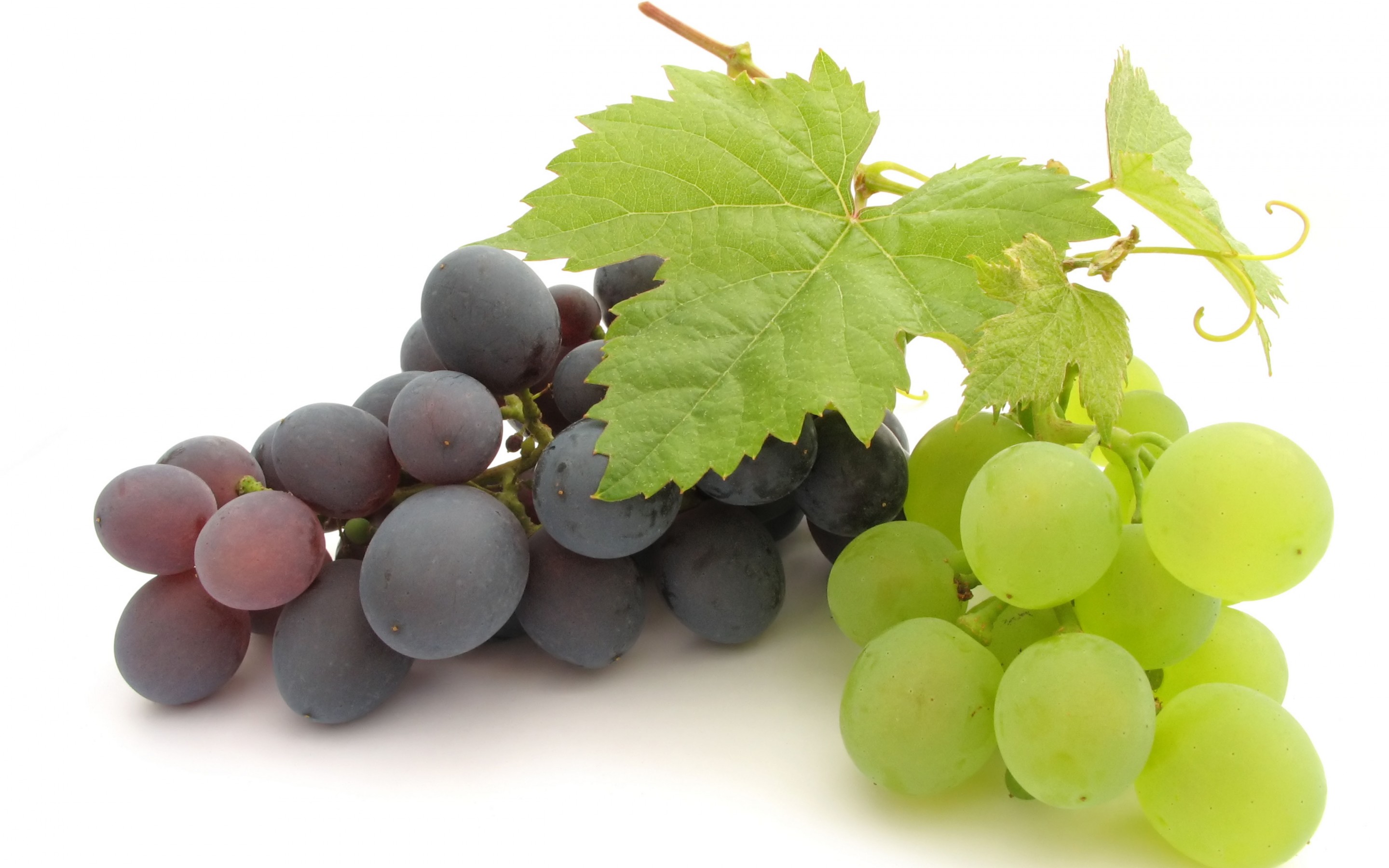 Download Food Grapes HD Wallpaper