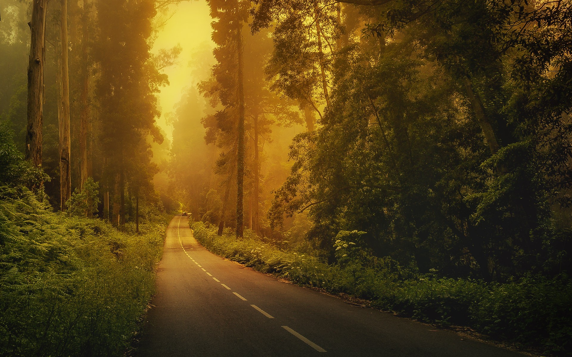 Scenic Man-Made Road: A Stunning HD Wallpaper
