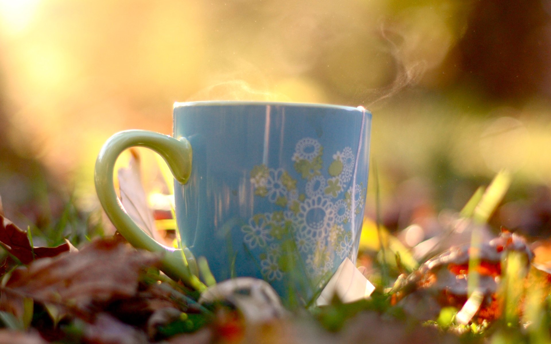 Serene Tea Moments: HD Wallpaper Bliss