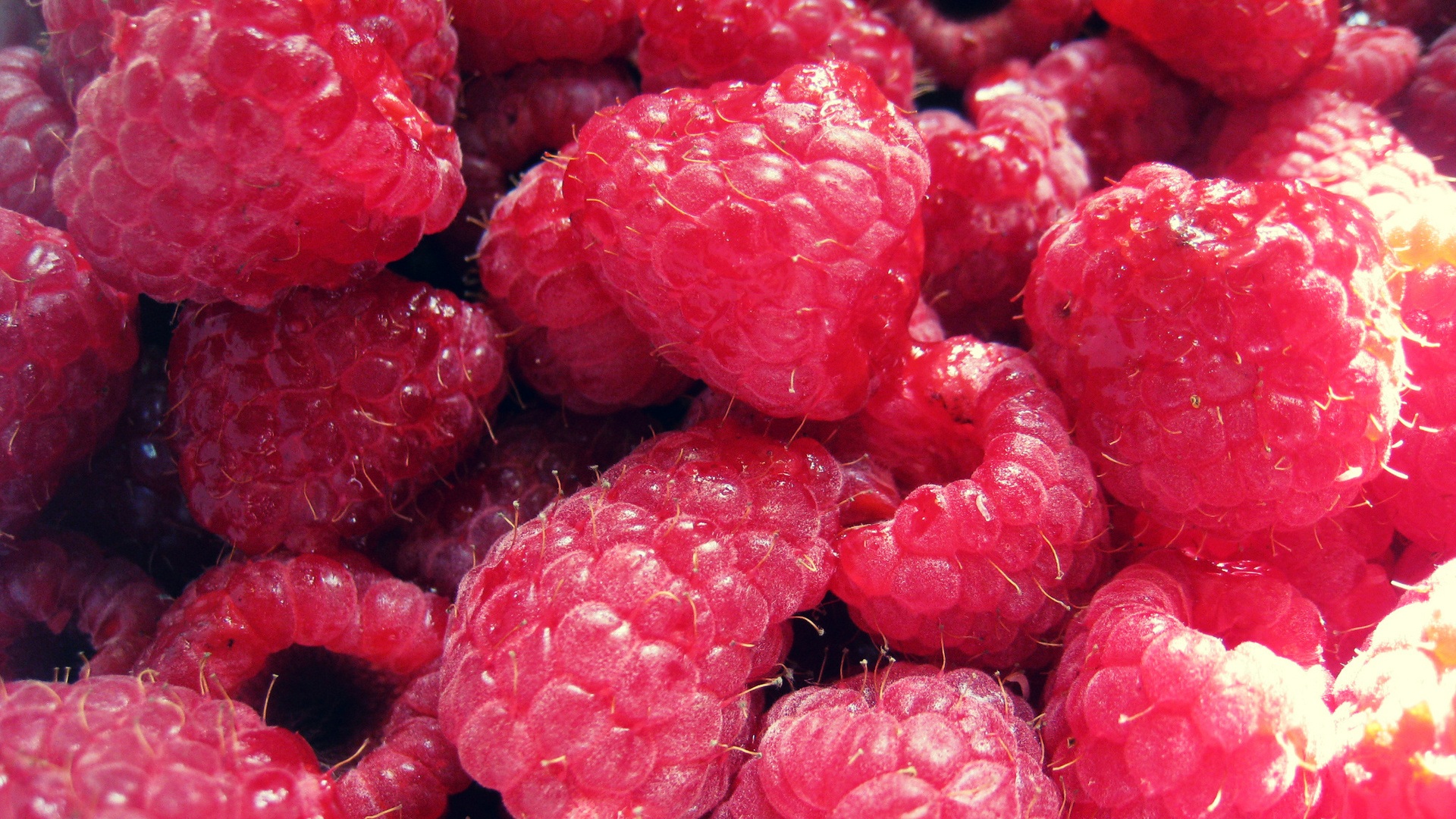 Raspberry Red Wallpapers