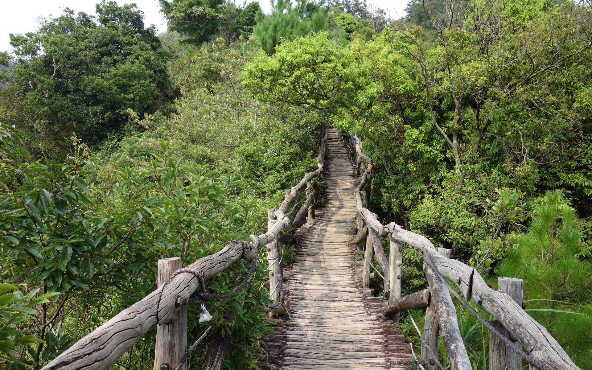 Download Man Made Bridge HD Wallpaper | 2560x1600 | Wallpaper Abyss