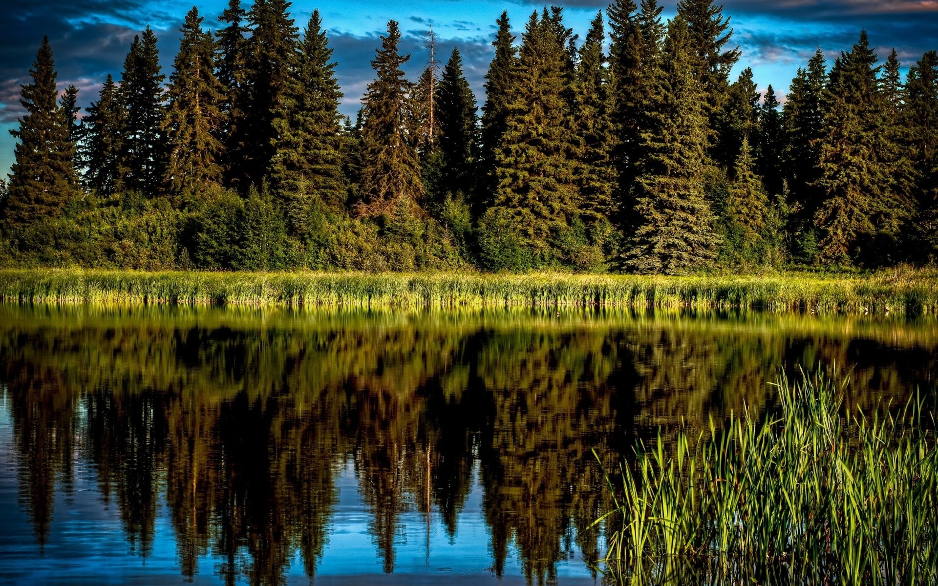 Download Nature Reflection HD Wallpaper