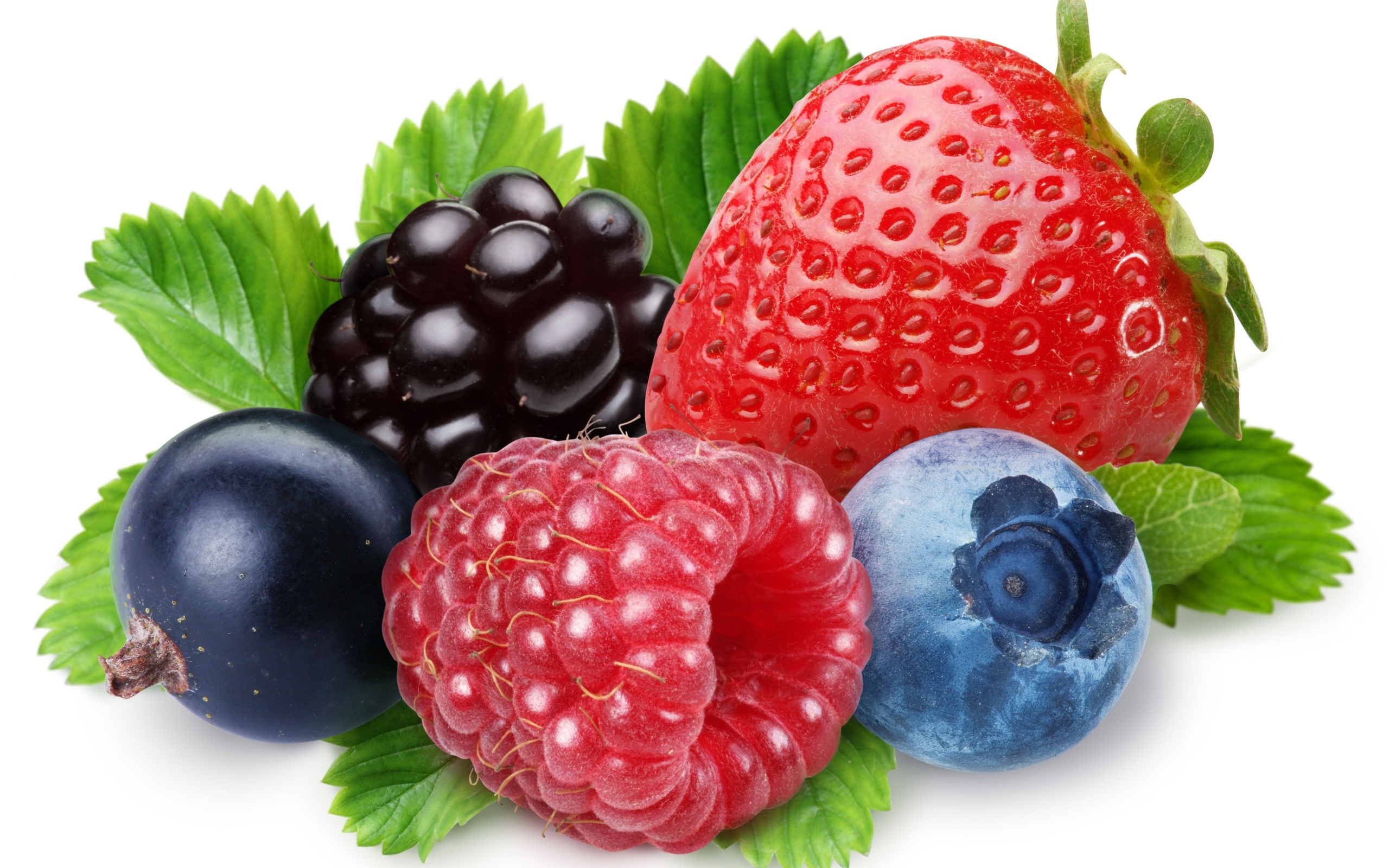 Download Food Berry HD Wallpaper