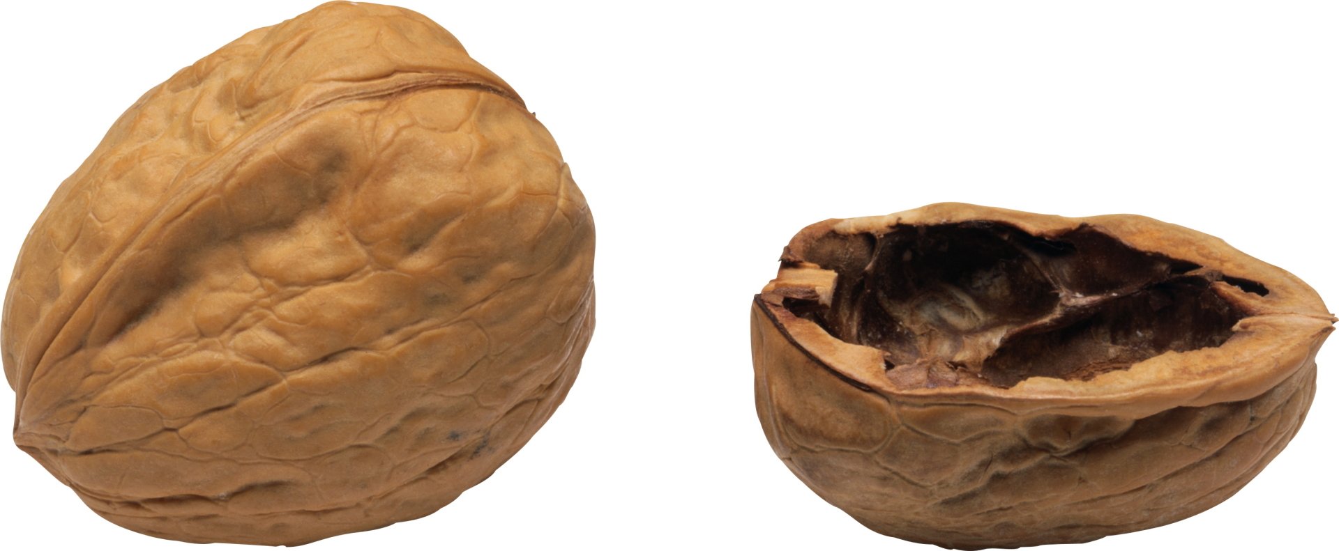 Download Food Walnut HD Wallpaper